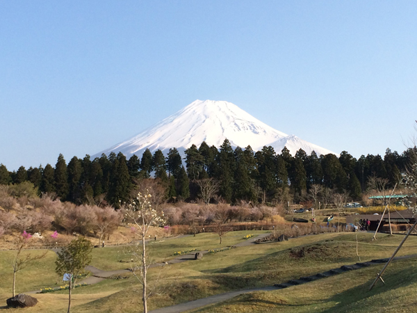 準備編（UTMF/STY 2014） | 文系ランナー Z