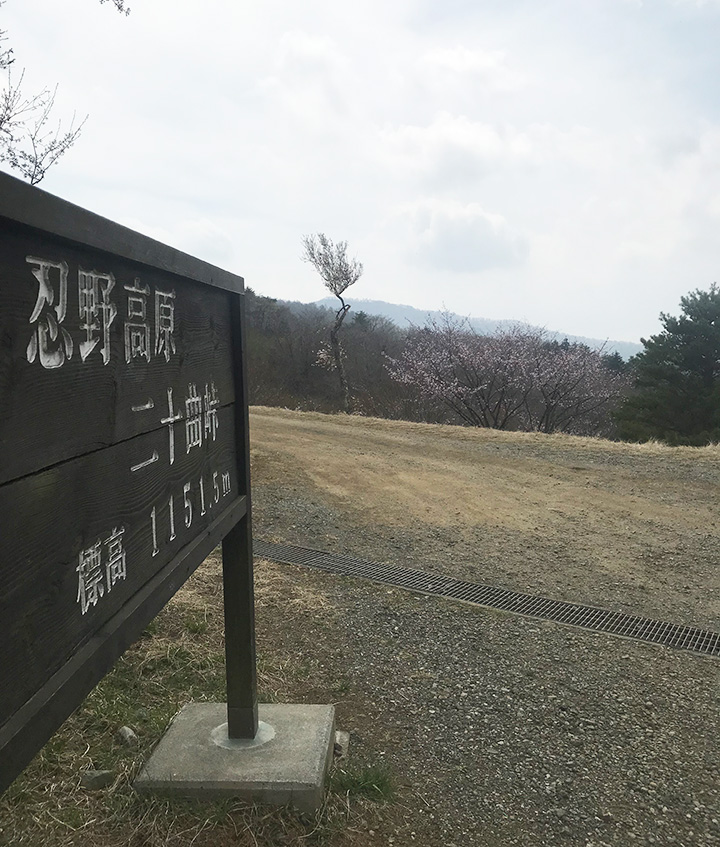 二十曲峠でお待ちしております（UTMF 2019） | 文系ランナー Z